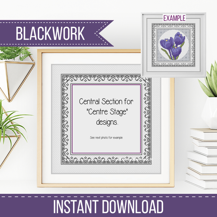 Centre Stage Borders – Peppermint Purple